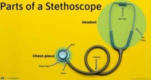 The 8 Parts of a Stethoscope (Chart + Video) - Nurse Money Talk