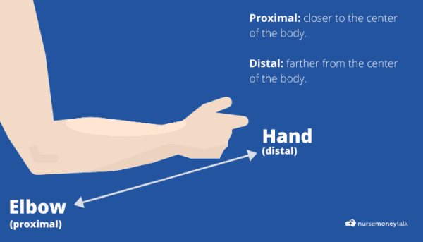 Proximal vs Distal (Examples, Diagram) - Nurse Money Talk
