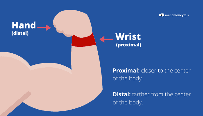 Proximal Vs Distal Examples Diagram Nurse Money Talk Proximal Vs Distal Examples Diagram Nurse Money Talk